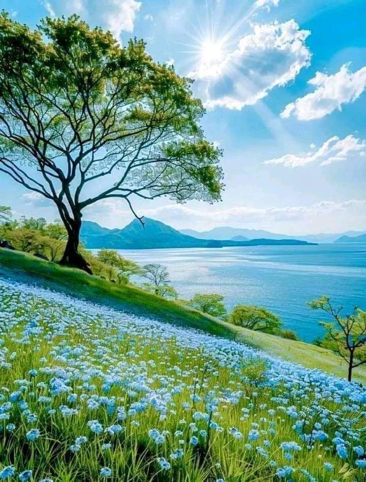 성경진리사역원(BTMK) | “나라이 임하옵시며”